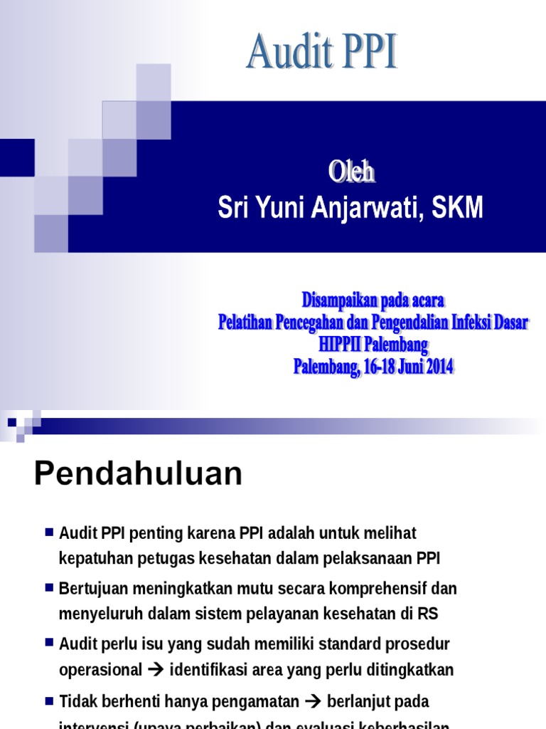 Audit Ppi | PDF