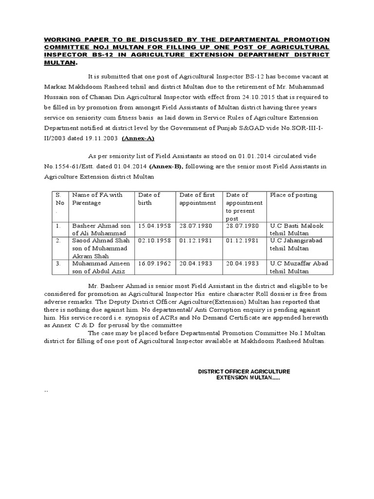 Working Paper | PDF