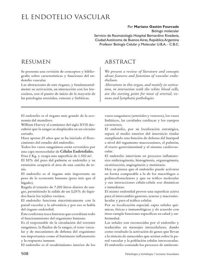 Endotelio Generalidades Pdf Endotelio Ganglio Linfático