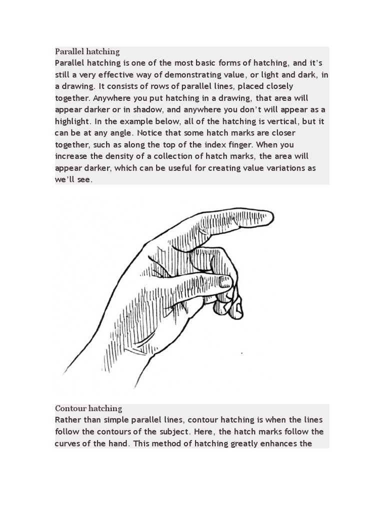 Parallel Hatching | Contour Line | Drawing