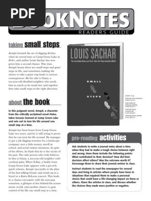 Small Steps Louis Sachar
