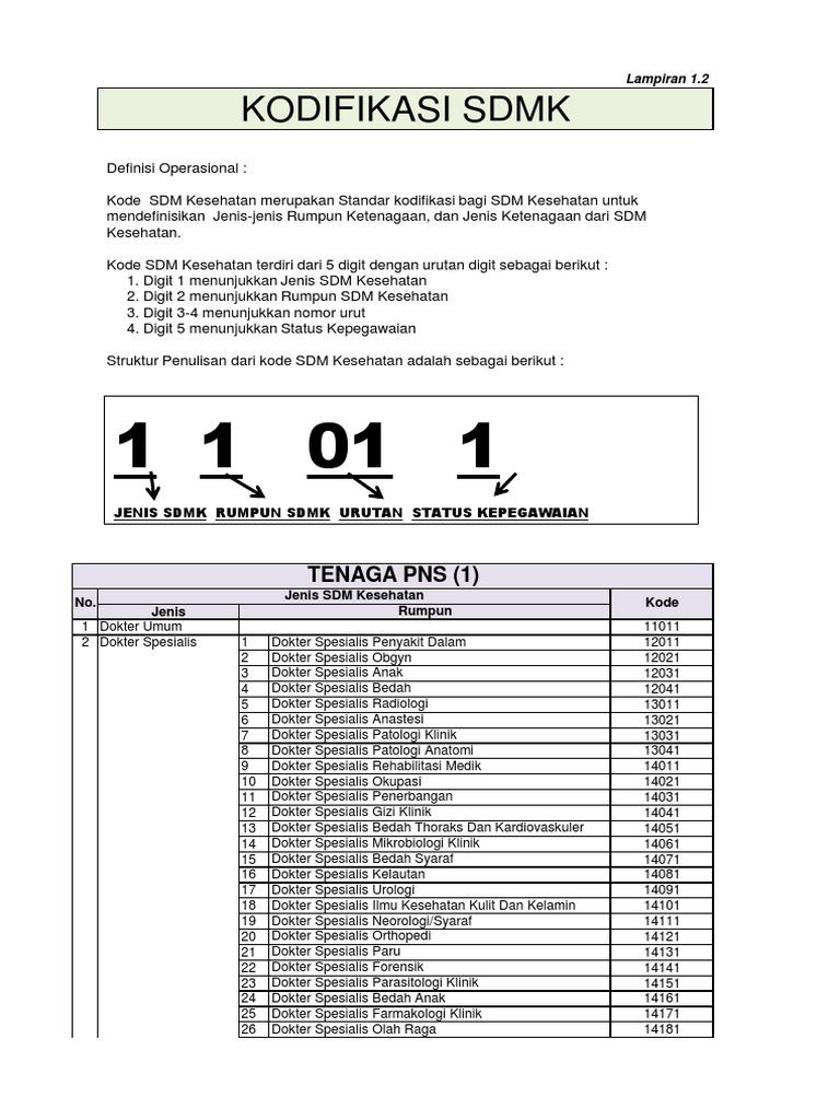 Kodifikasi SDMK | PDF