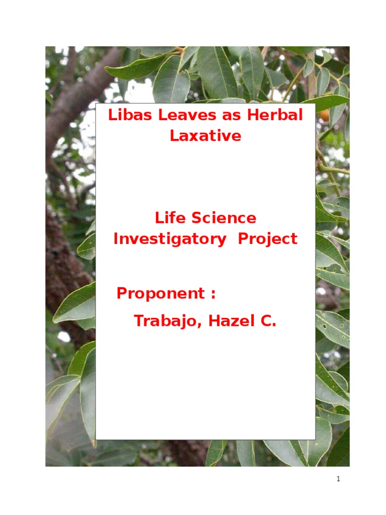 Libas Leaves Antibacterial Herbal Laxative | PDF | Fruit Preserves ...