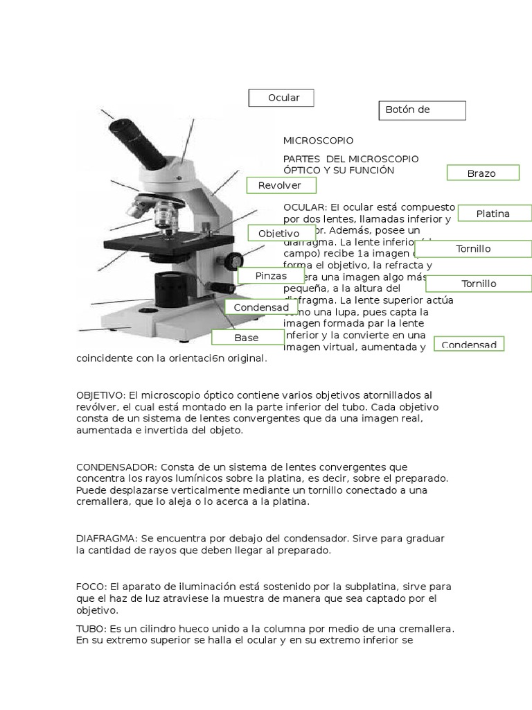 Partes y funciones del microscopio óptico | PDF | Óptica | Atómico