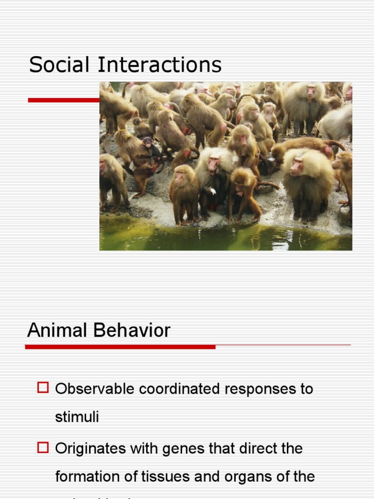 Animal Behavior: Instincts and Learning | PDF | Eusociality | Learning