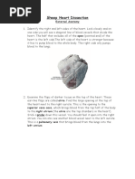 Heart Dissection Lab Report Guide | PDF | Atrium (Heart) | Heart