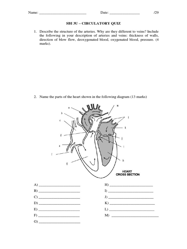 Circulatory System Quiz | PDF | Teaching Methods & Materials