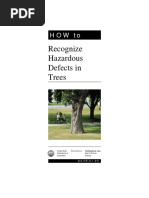 NJUG Publication Volume 1 | PDF | Root | Trees