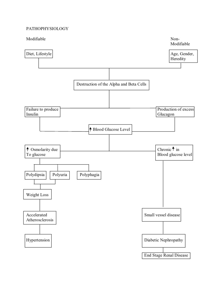 Pathophysiology of DM ESRD HPN | PDF
