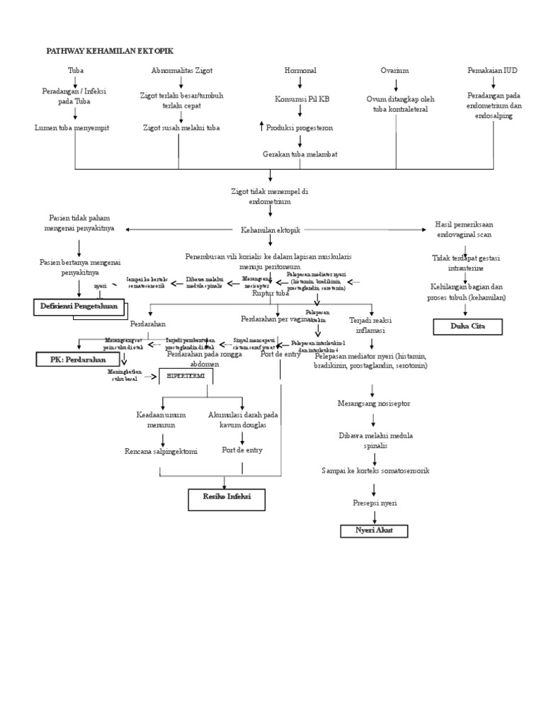 Pathway Kehamilan Ektopik Teragnggu | PDF