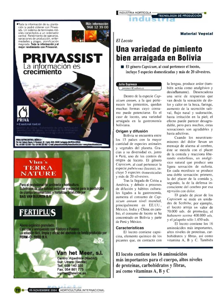 Cultivo del locoto en Bolivia y sus beneficios nutricionales | PDF ...