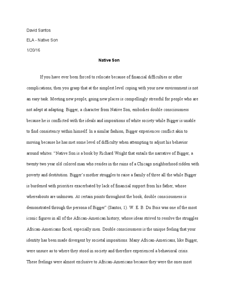 Native Son Double Consciousness Essay | PDF