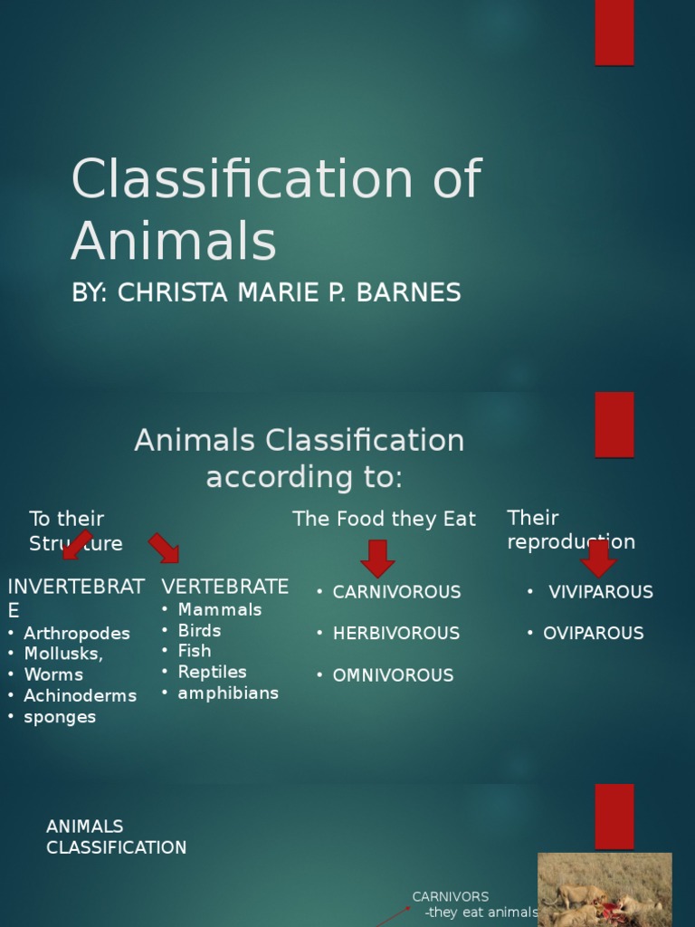 Animal Classification Guide: Types & Traits | PDF | Wellness