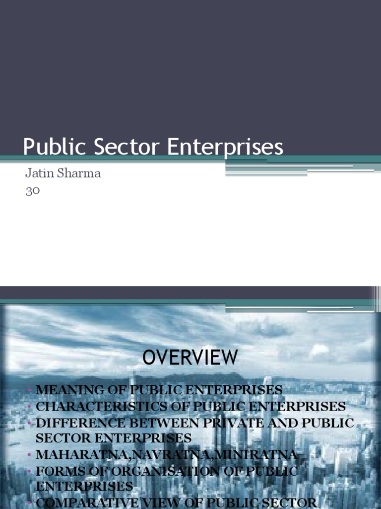 Public Sector Enterprises | PDF | State Owned Enterprise | Board Of ...