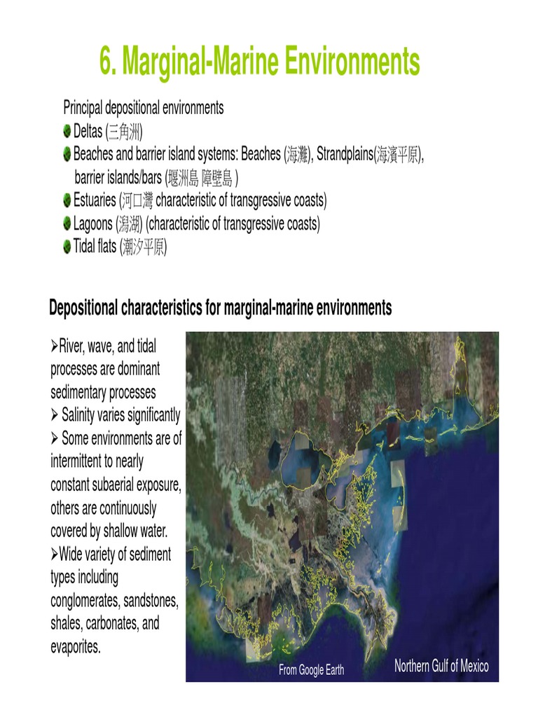 6 Marginal Marine Env 1 | PDF | River Delta | Shoal
