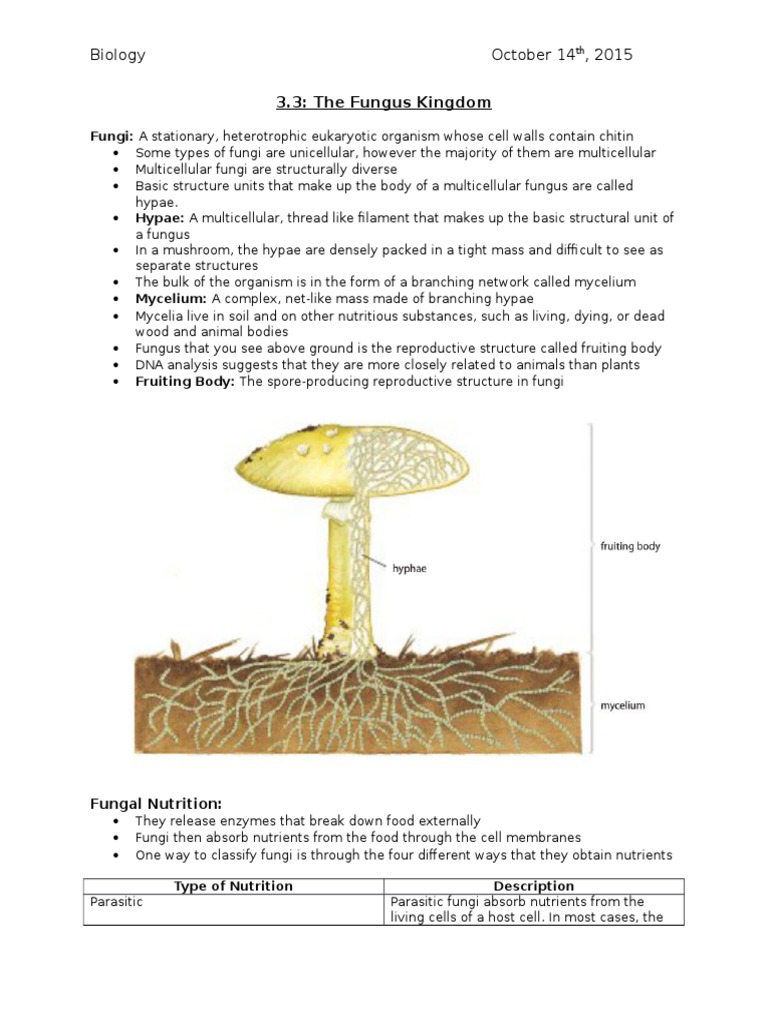 3.3; The Fungus Kingdom | Fungus | Plants