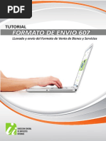 Instructivo para Llenar Formato 606 | PDF | Impuestos | Archivo de ...
