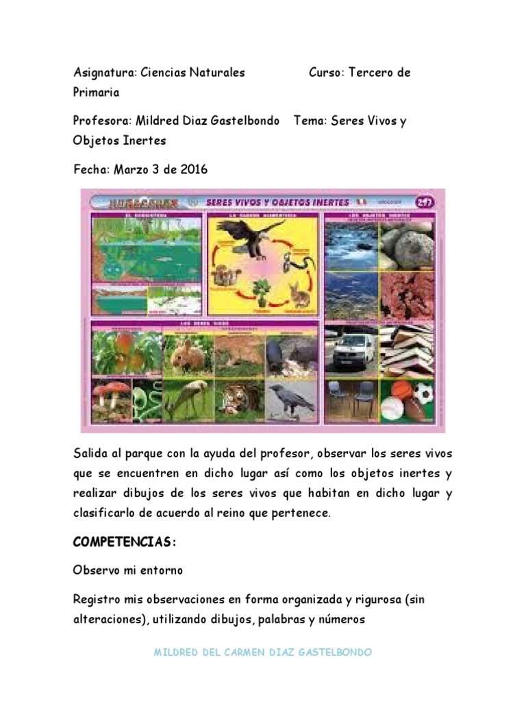 Seres Vivos y Objetos Inertes | PDF | Plantas | Organismos