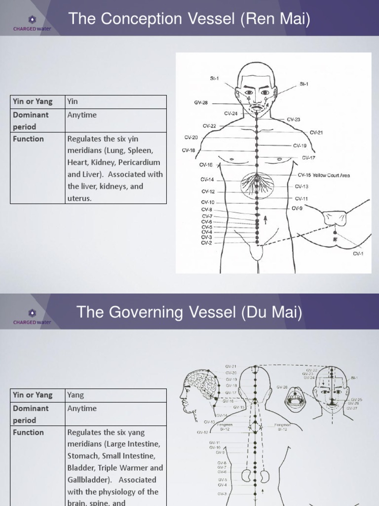 The Conception Vessel (Ren Mai) | PDF