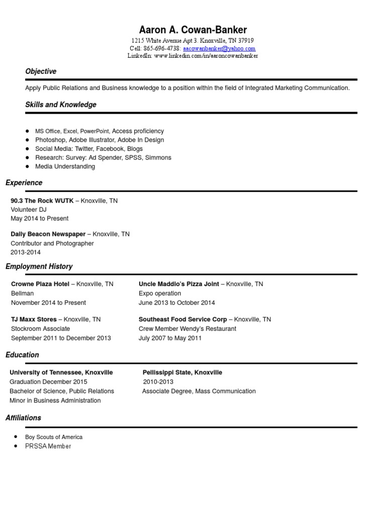 Resume 380 Revised | PDF | Business