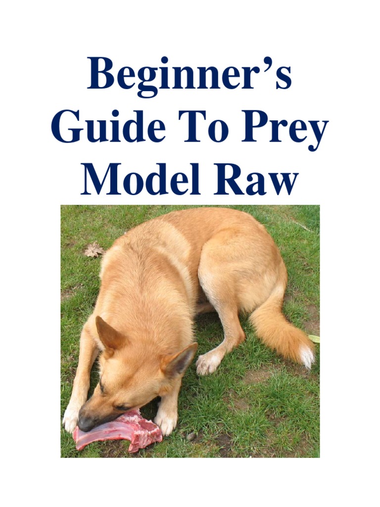 Prey Model Raw Diet for Dogs Guide | PDF | Omega 3 Fatty Acid | Meat