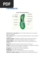Partes Del Paramecio | PDF | Bioquímica | Química