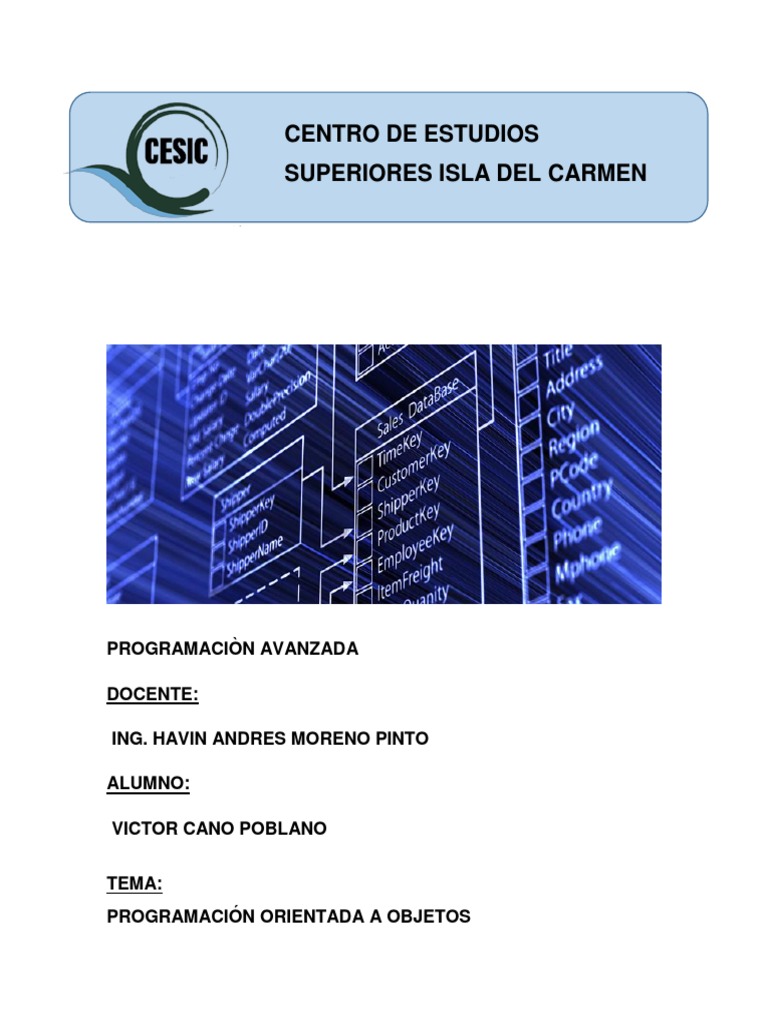 Resumen de Conceptos de POO | PDF | Objeto (informática) | Programación ...