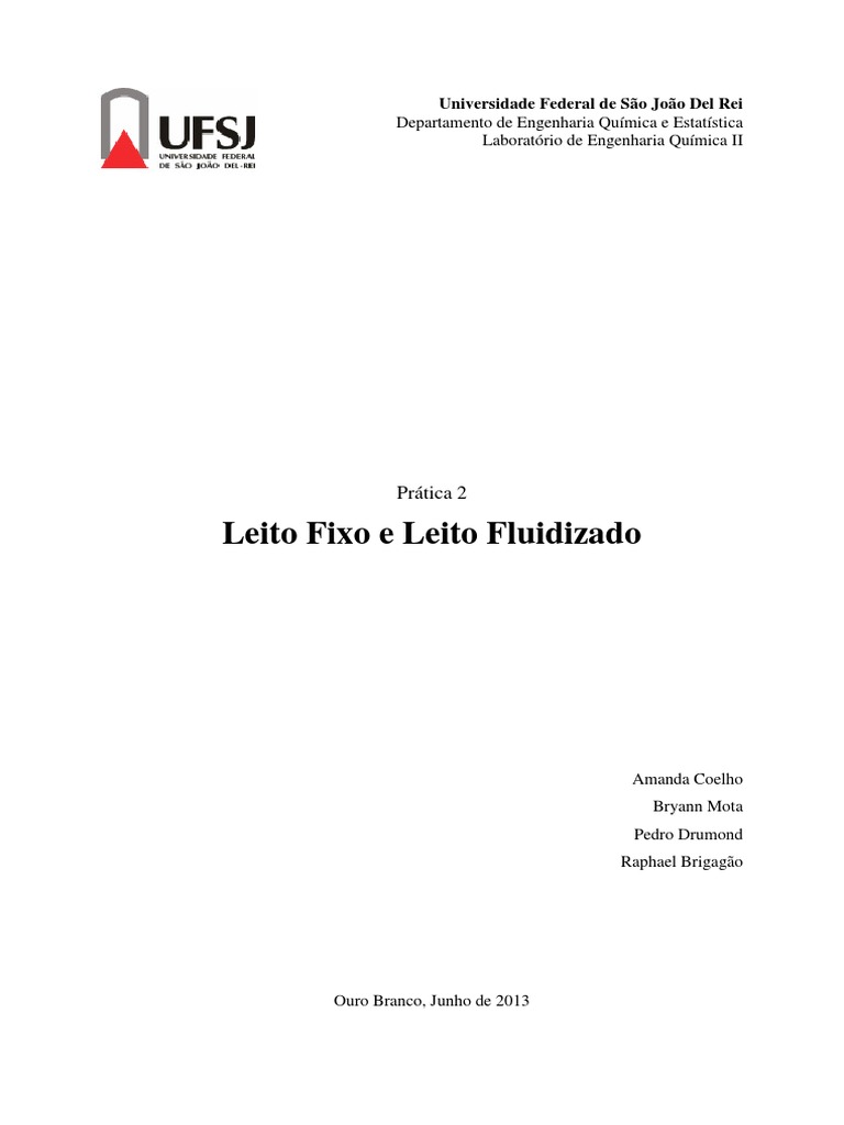 Análise de Leito Fixo e Fluidizado | PDF | Pressão | Velocidade