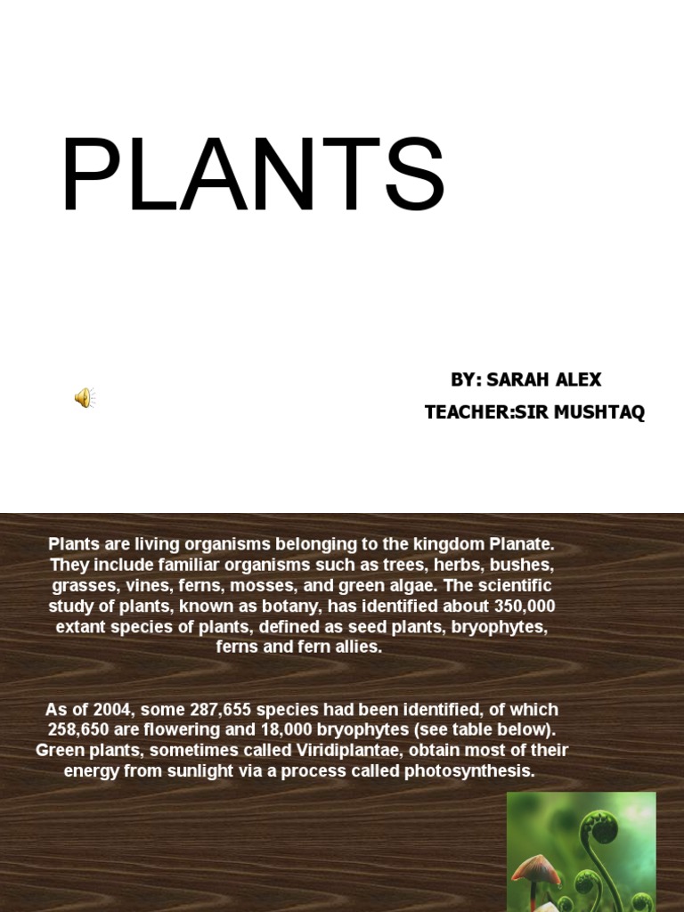 Overview of Plant Types and Growth | PDF | Plants | Trees