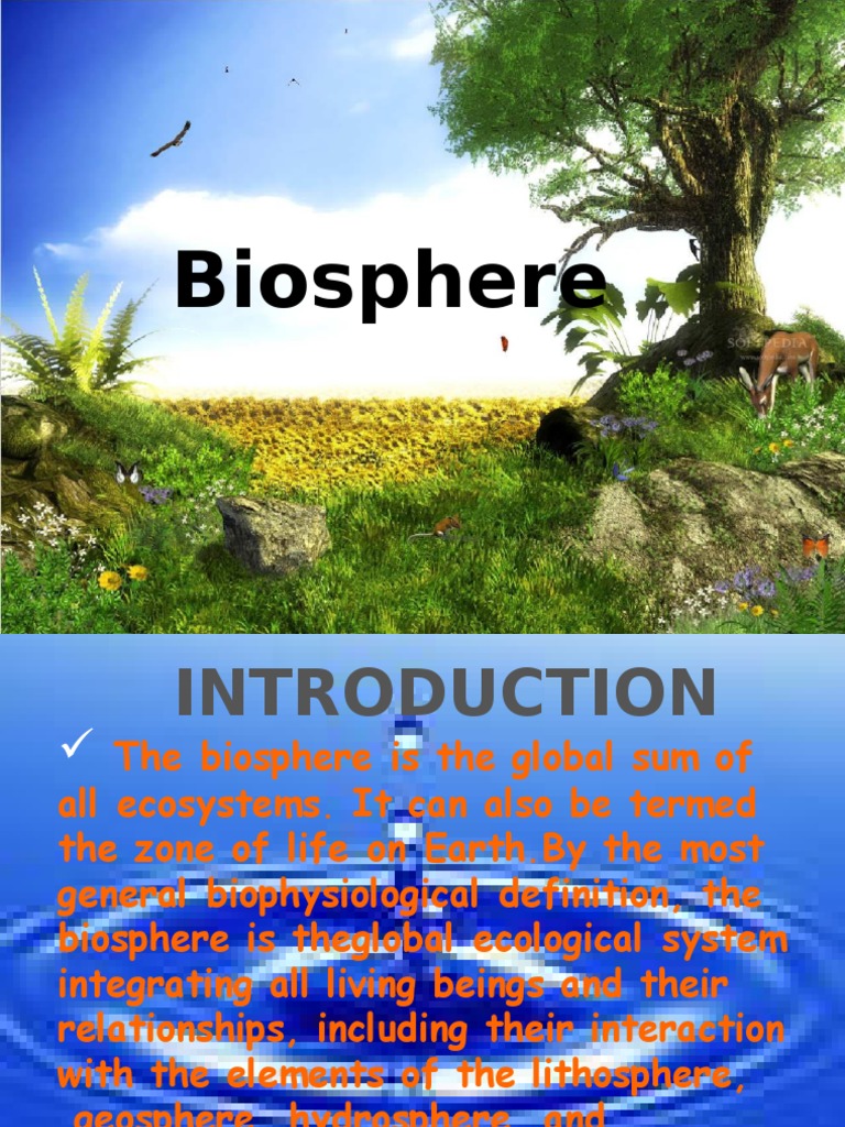 Biosphere | Biogeochemistry | Ecology