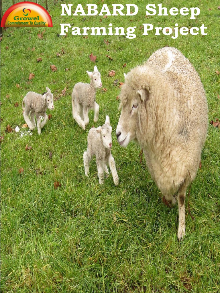 NABARD Sheep Farming Project | PDF