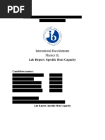 Experiment 4: Specific Heat Capacity | PDF | Heat Capacity | Heat
