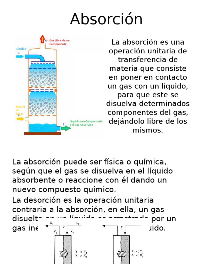 Proceso de Absorción en Física y Química | PDF