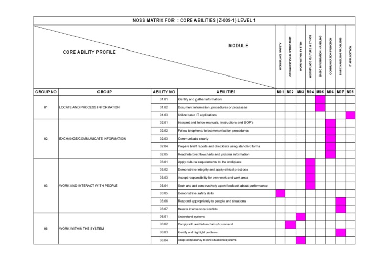 Noss Matrix For: Core Abilities (Z-009-1) Level 1: Group No Group ...