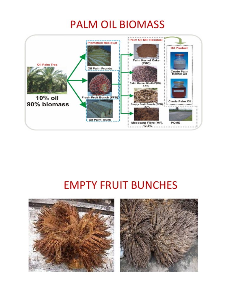 Palm Oil Biomass | Biomass | Fuels