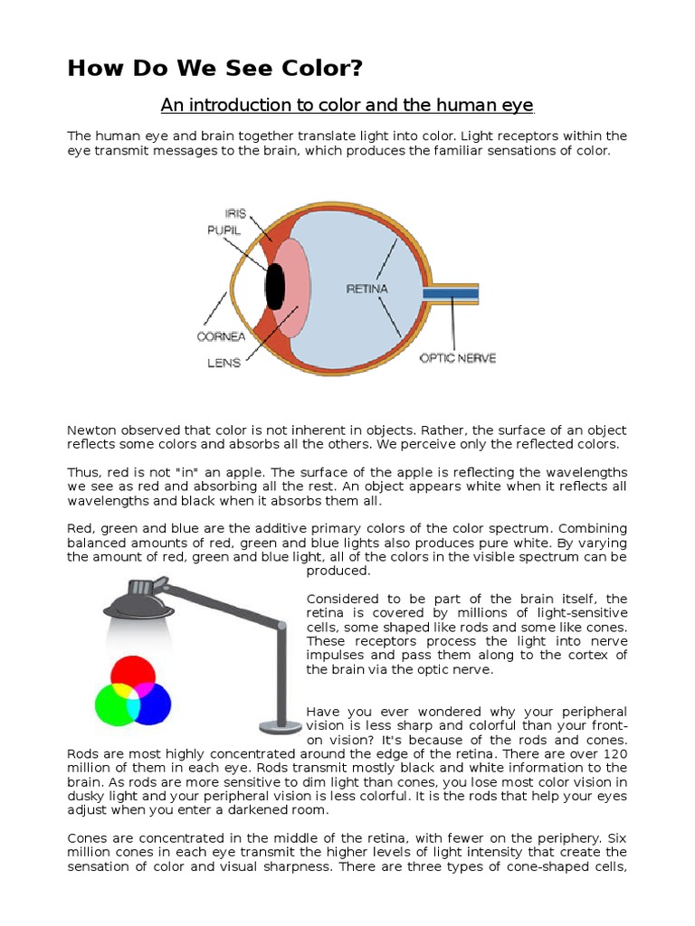 How Do We See Color?: An Introduction To Color and The Human Eye | PDF ...
