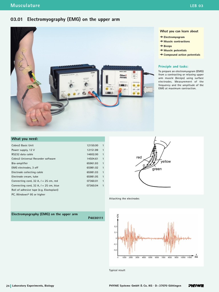 03.01 Electromyography (EMG) On The Upper Arm: What You Can Learn About ...