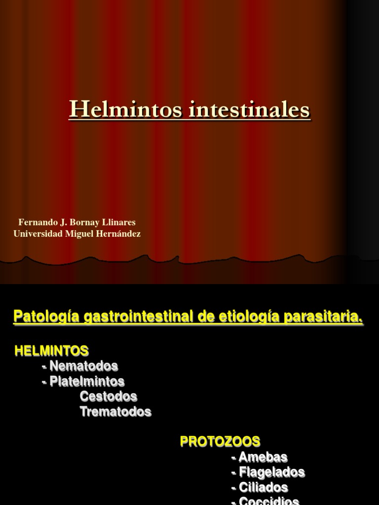 Helmintos Intestinales Nematodos Cestodos Trematodos | PDF | Diarrea ...