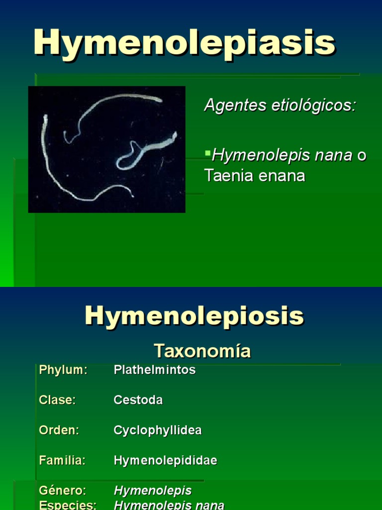 Hymenolepiasis: agentes etiológicos, morfología, ciclo de vida ...