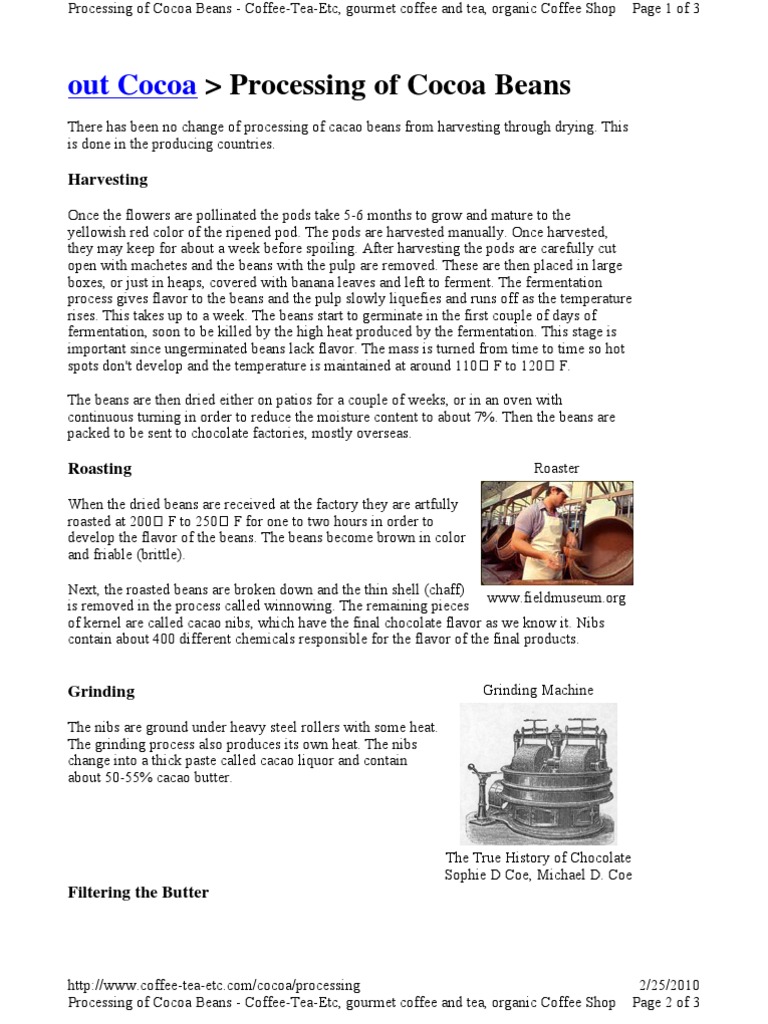 Cocoa Processing | PDF | Cocoa Bean | Chocolate