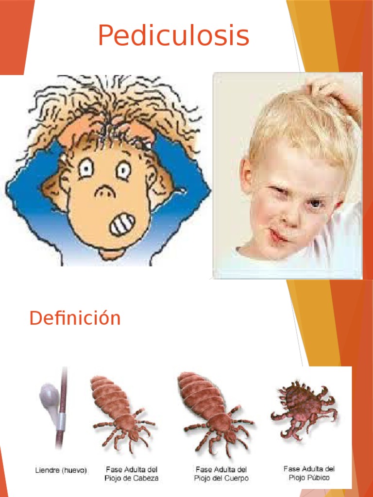 Pediculosis | PDF | Medicina | Medicina CLINICA