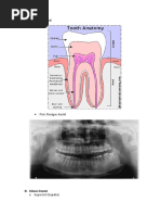 Anatomi Maksila & Mandibula | PDF