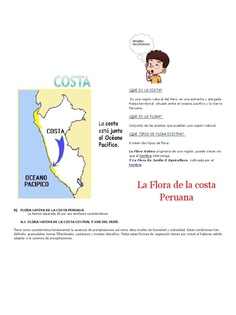 Flora de La Costa Peruana.2 | PDF | Perú | Flora