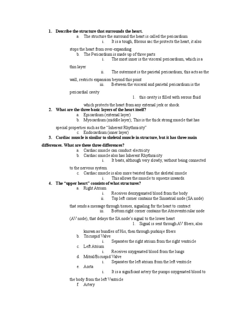Heart Circulatory System Study Guide | PDF | Atrium (Heart) | Heart
