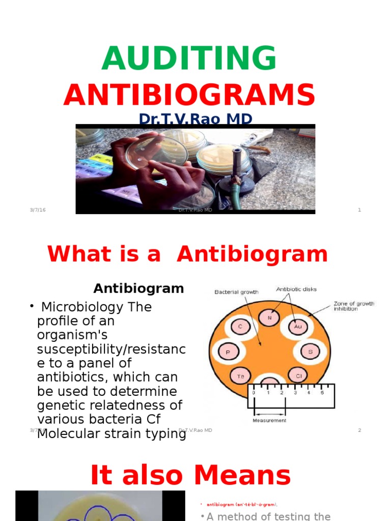 Understanding Antibiograms in Microbiology | PDF | Antimicrobial ...