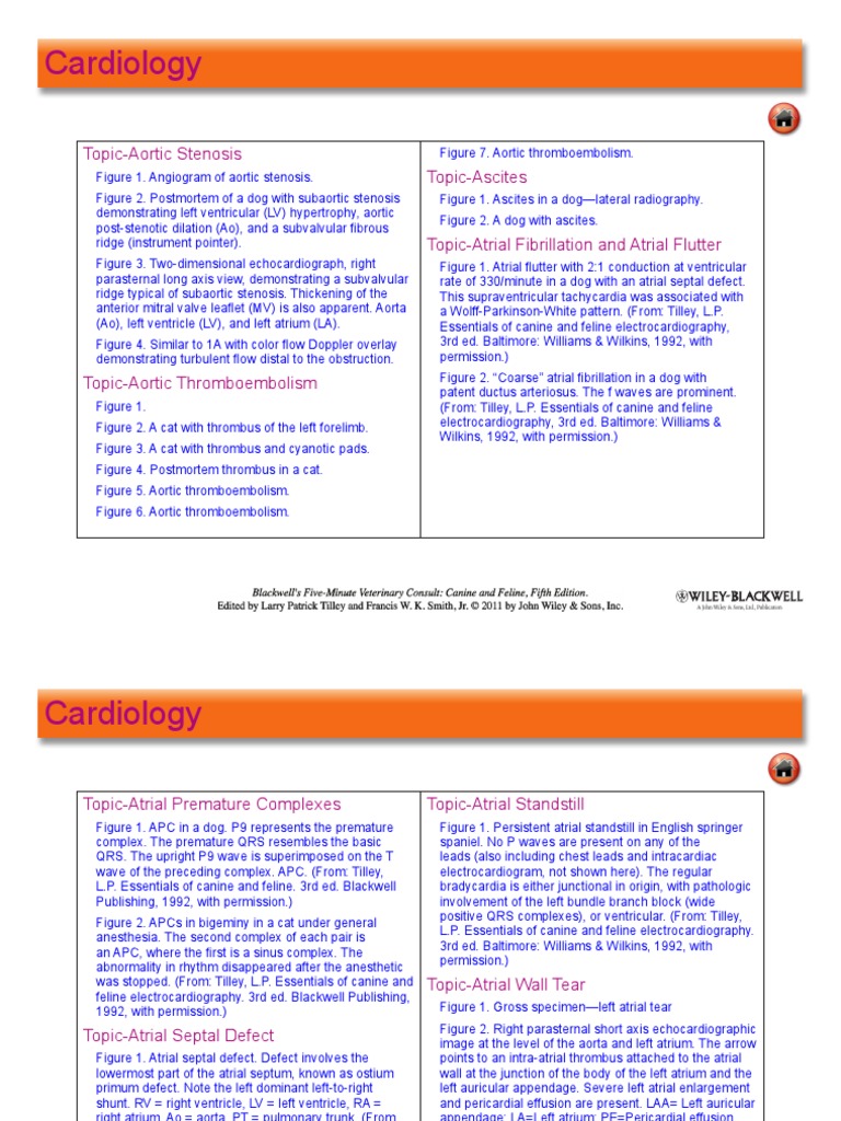 Canine and Feline Cardiology Insights | PDF | Electrocardiography ...