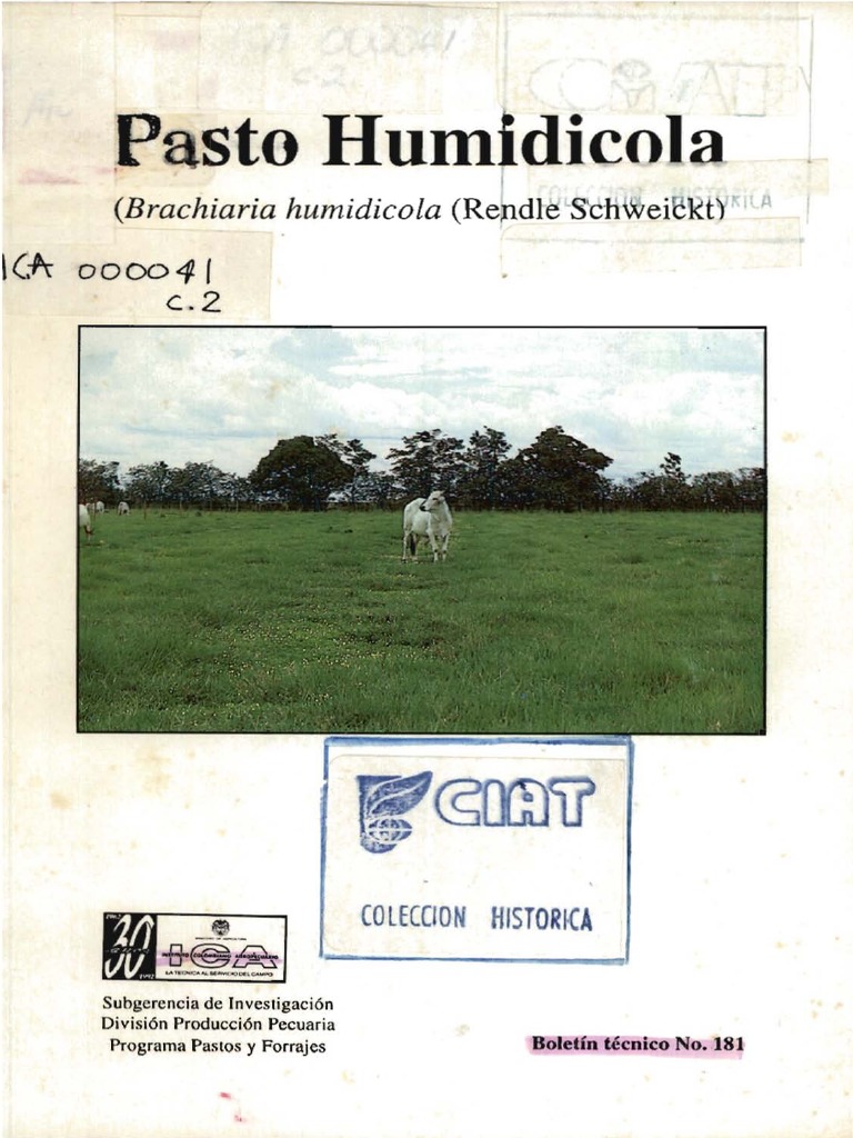 Pasto Humidicola Brachiaria Humidicola Rendle Schweickt | Fertilizante ...
