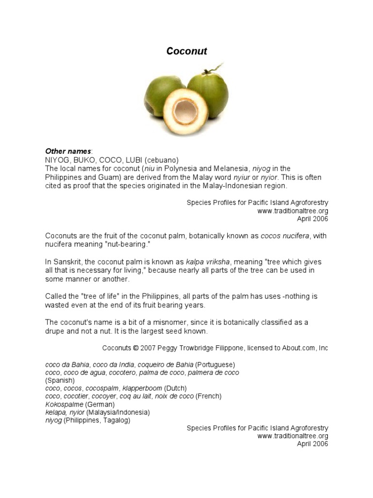 Coconut | PDF | Coconut | Fruit