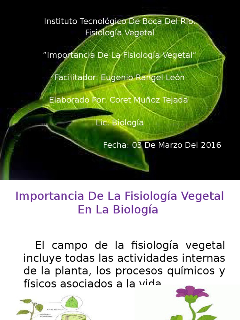 Fisiologia Vegetal