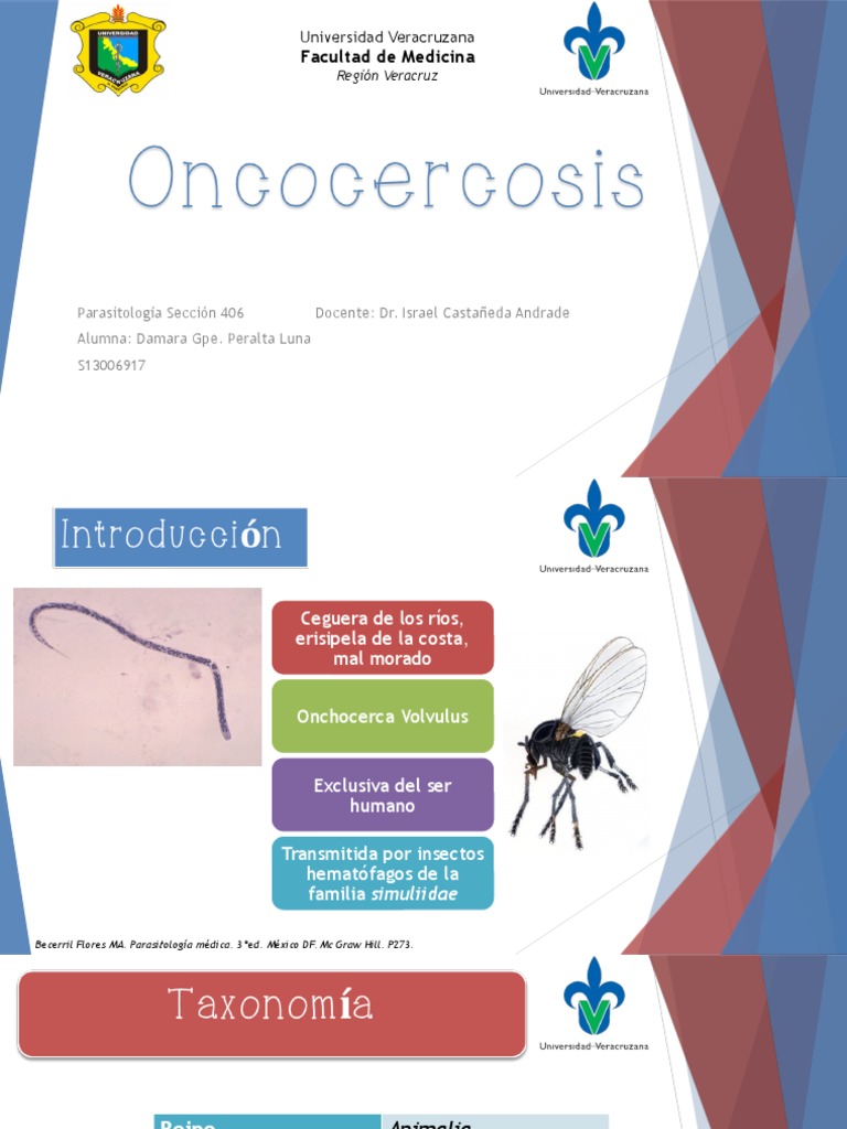Oncocercosis | PDF | Especialidades Medicas | Enfermedades y trastornos